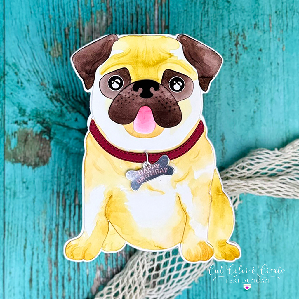 4 Adorable Cats & Pugs Cards - Cut Color & Create